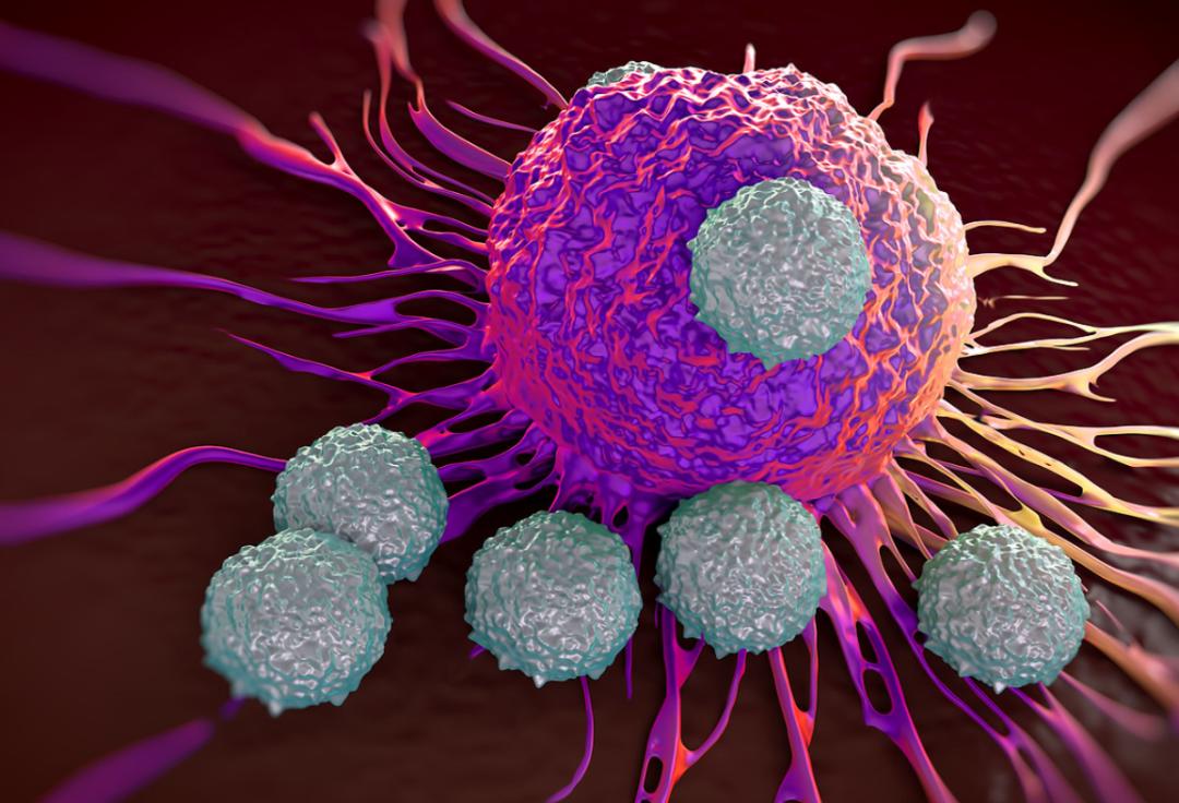 STTT：內外兼修！中南大學團隊發現，抑制素βA能夠通過改變巨噬細胞表型和抑制腫瘤細胞鐵死亡，促進結直腸癌進展 - 資訊咖