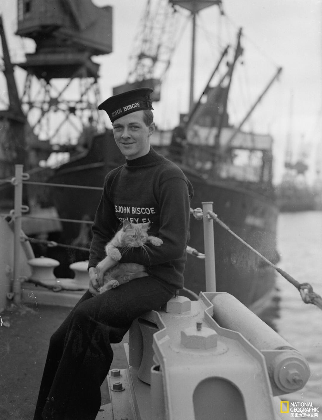 In order to keep cats in Antarctica, an anxious struggle began - iNEWS