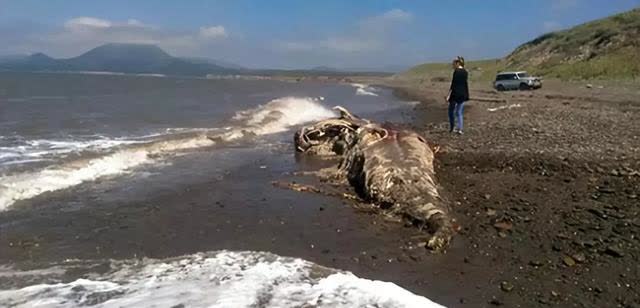 Arctic corpses exposed! What threats are humans facing? - iNEWS