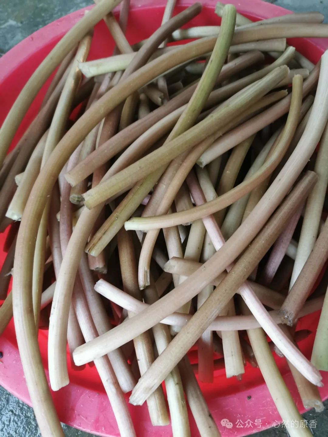 Chen Yanping: Chicken head wrapped with stems - iNEWS