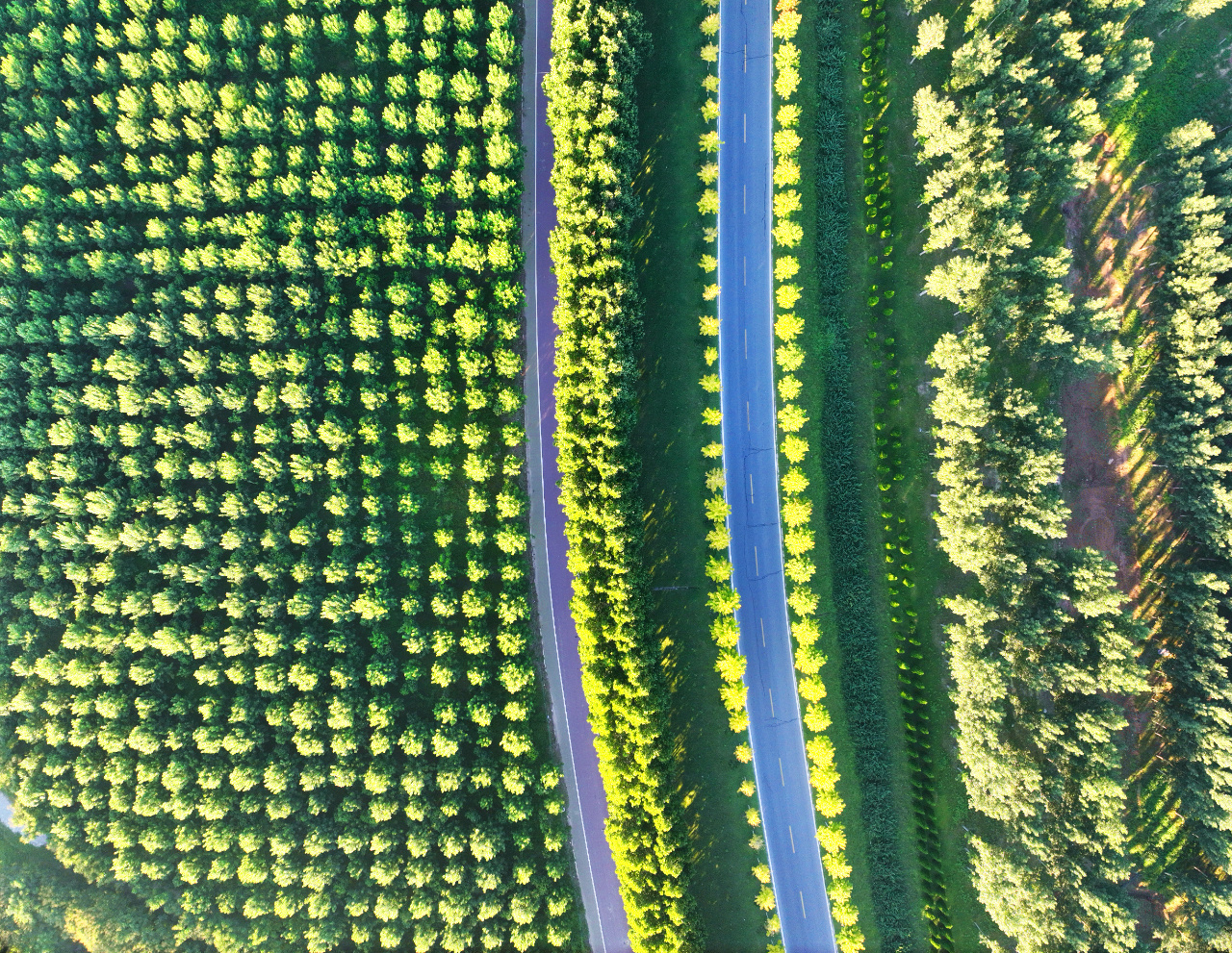 Looking down from the air, how beautiful is the Yellow River? - iNEWS