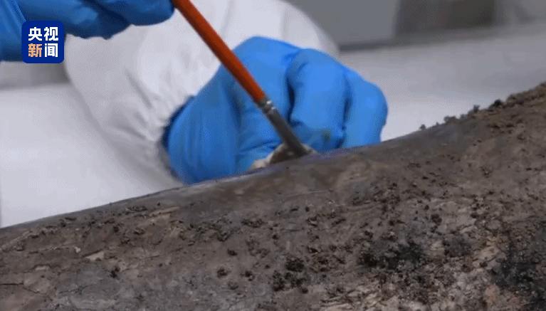 On International Love Tooth Day, see how "Cultural Heritage Doctors ...