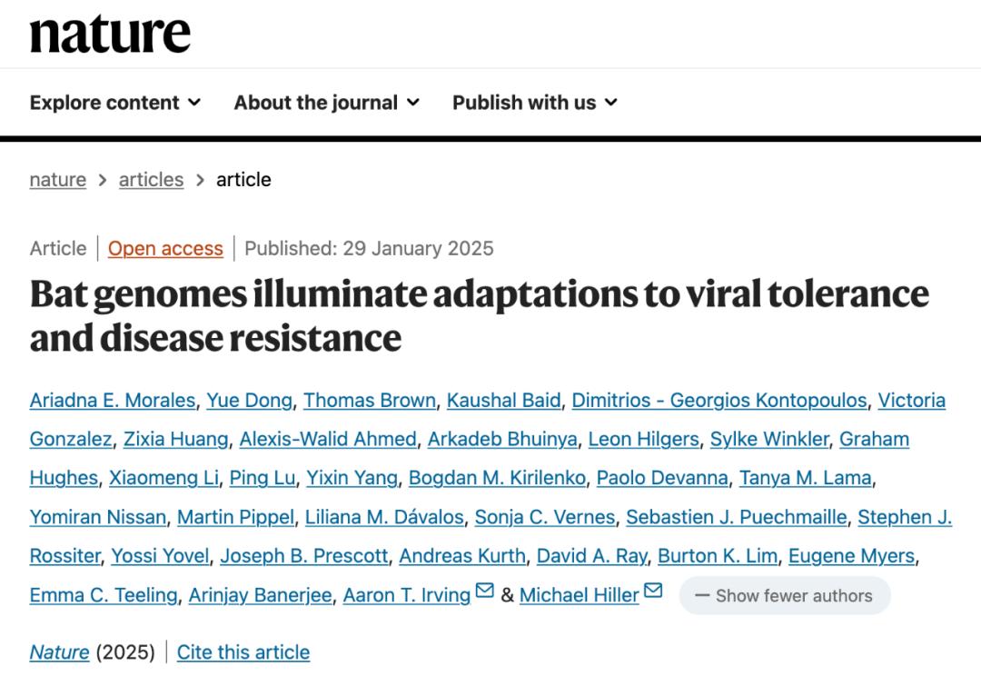 How can bats carry deadly viruses without getting hurt? Uncovering the ...