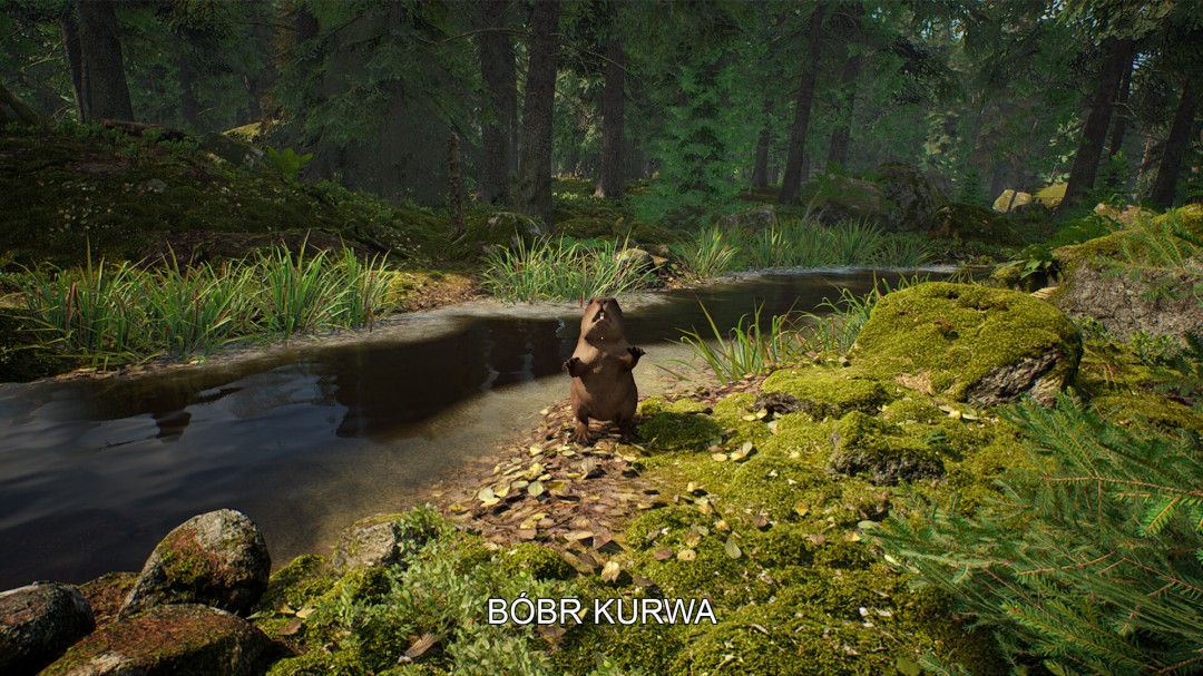 Mushroom picking simulation game "Mushroom Hunter Simulator" is ...