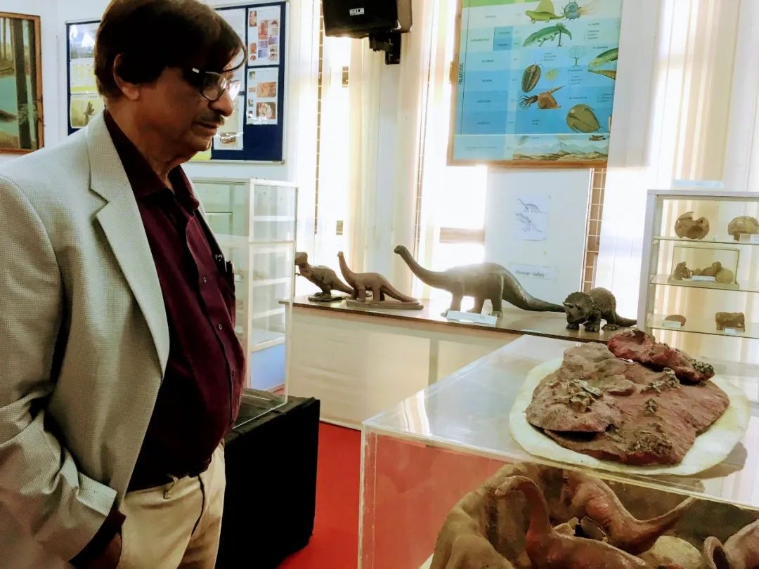 Talking about the Ancient Snake in the Year of the Snake (Complete ...