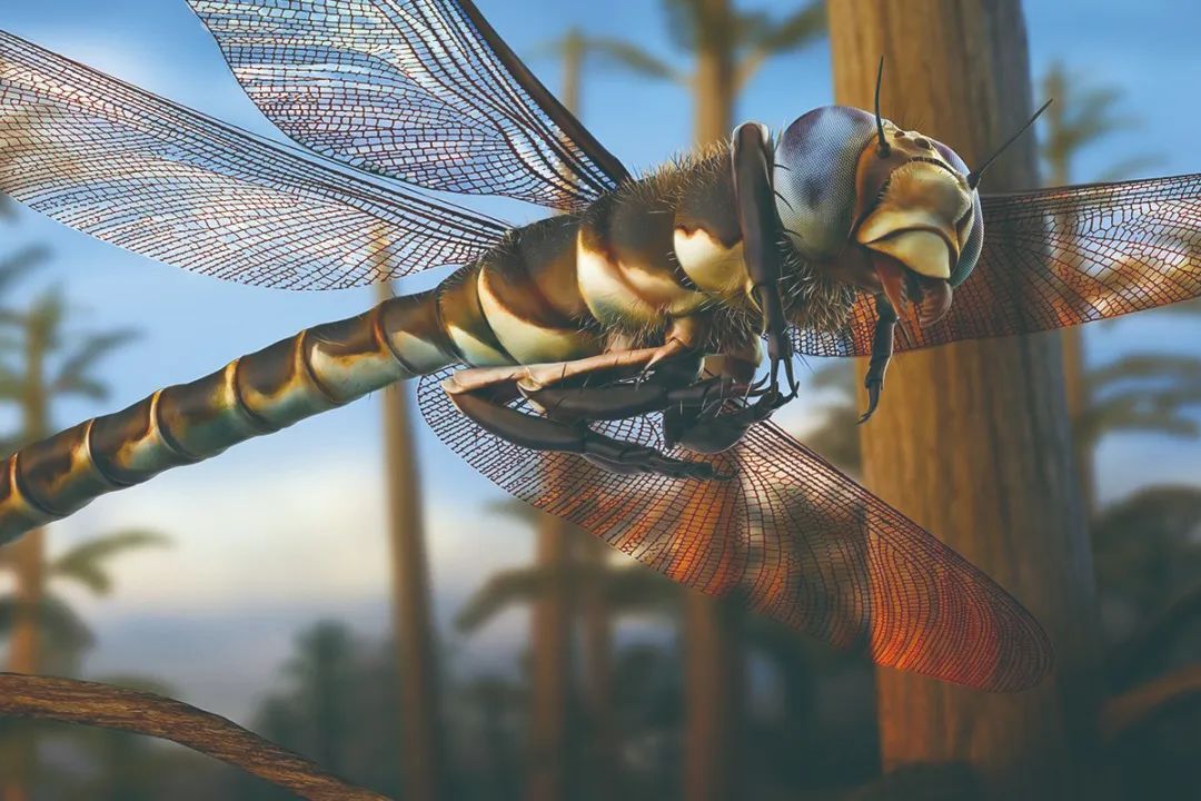 If insects were the same size as humans - iNEWS