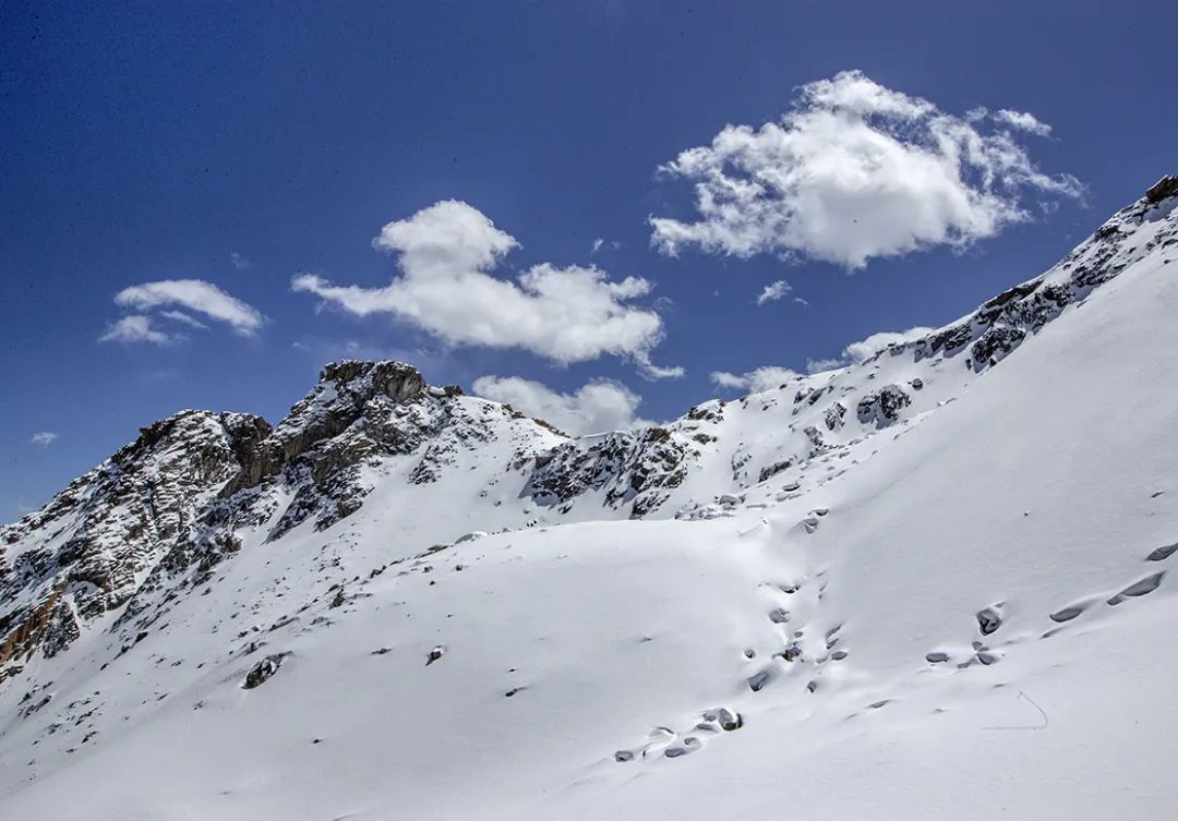 Liu Guoxing's Works Collection - iNEWS