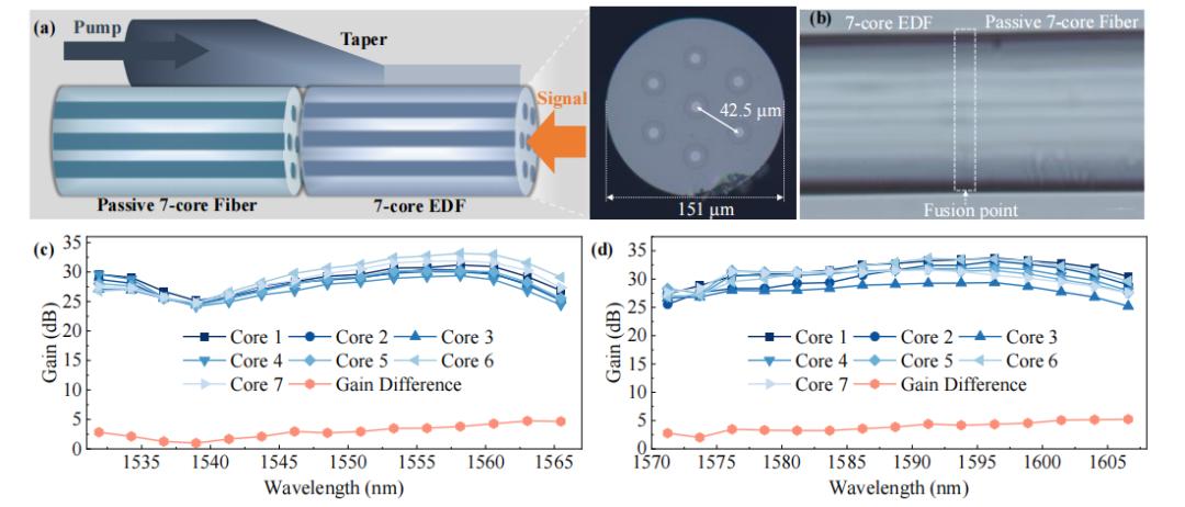 410.5Tbit/s! Multi-core fiber amplifier sets record for highest ...