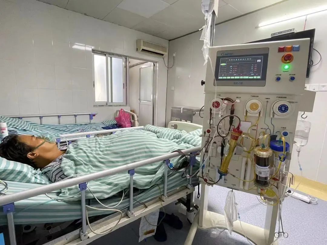 Just because of being bitten: 52-year-old uncle has multiple organ ...