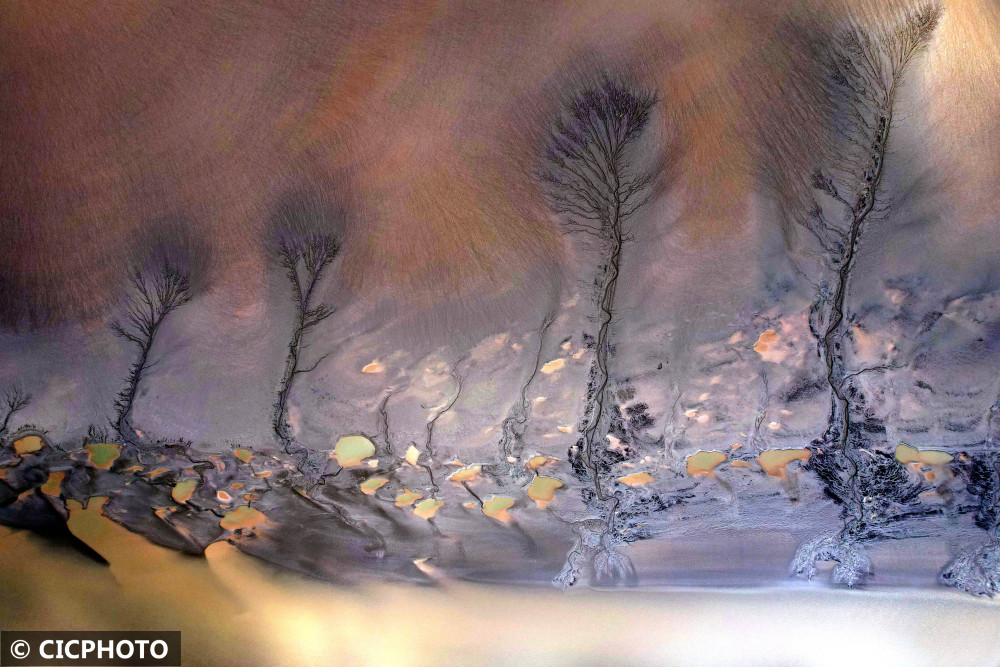 The "tidal tree" landscape at the mouth of the Qiantang River - iNEWS