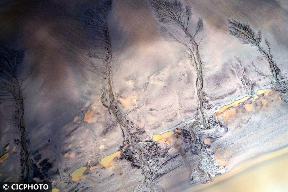 The "tidal tree" landscape at the mouth of the Qiantang River - iNEWS