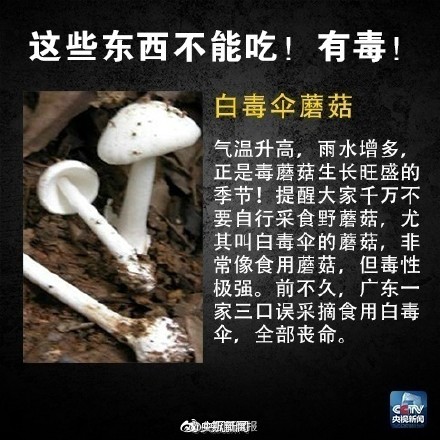 Quick turn: these foods are poisonous, do not eat! - iNEWS