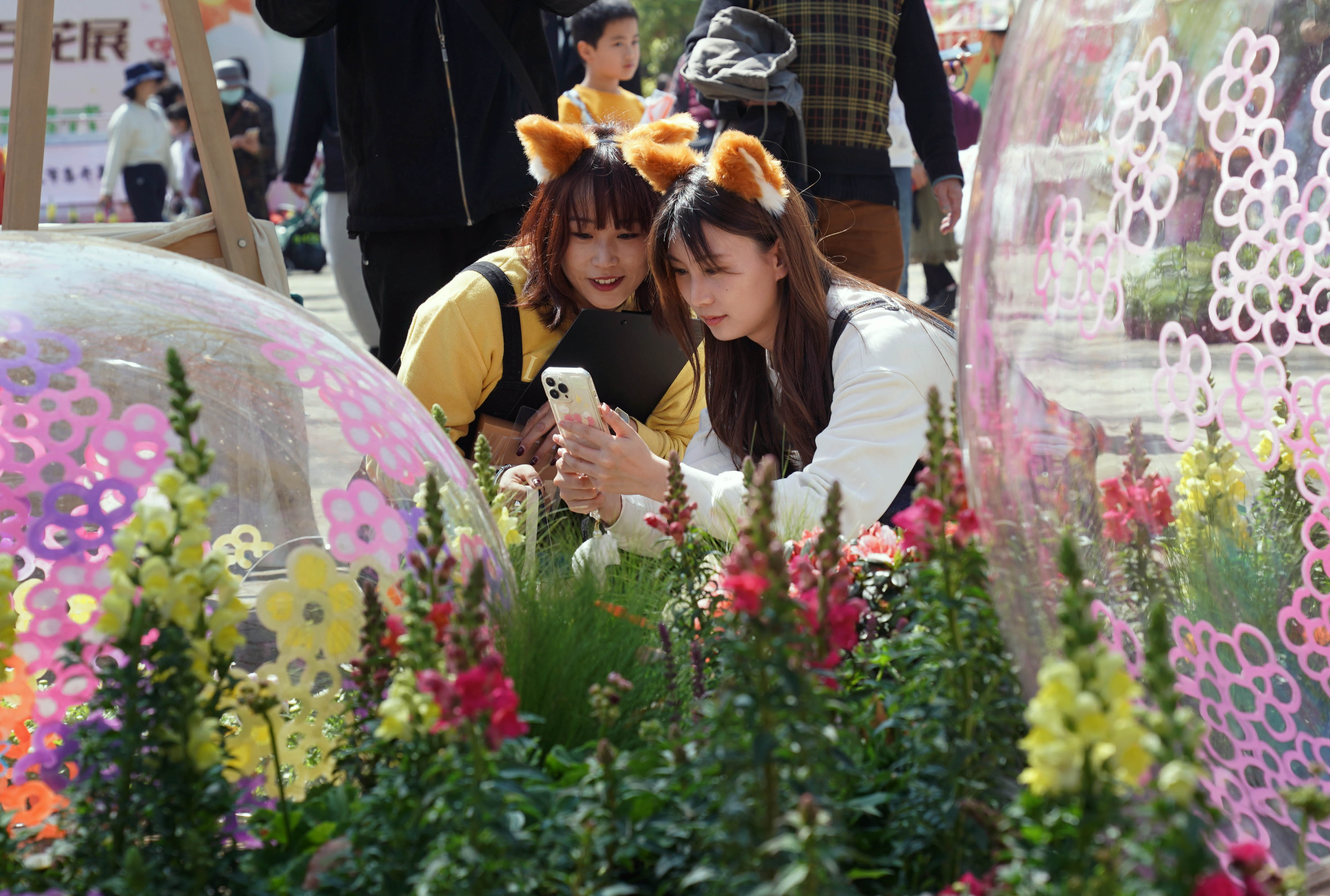 Shanghai: Appreciate Hundreds of Flowers and Enjoy Spring - iMedia