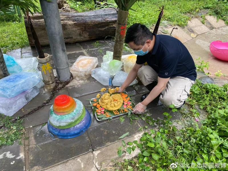 Giant Pandas Menglan, Huahua, and Ye celebrate their birthdays on the ...