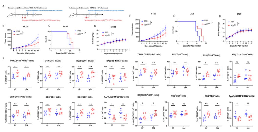 JECCR: Academician Gu Xiaosong/Jiang Chunping/Wu Junhua team develops a new oncolytic virus ...