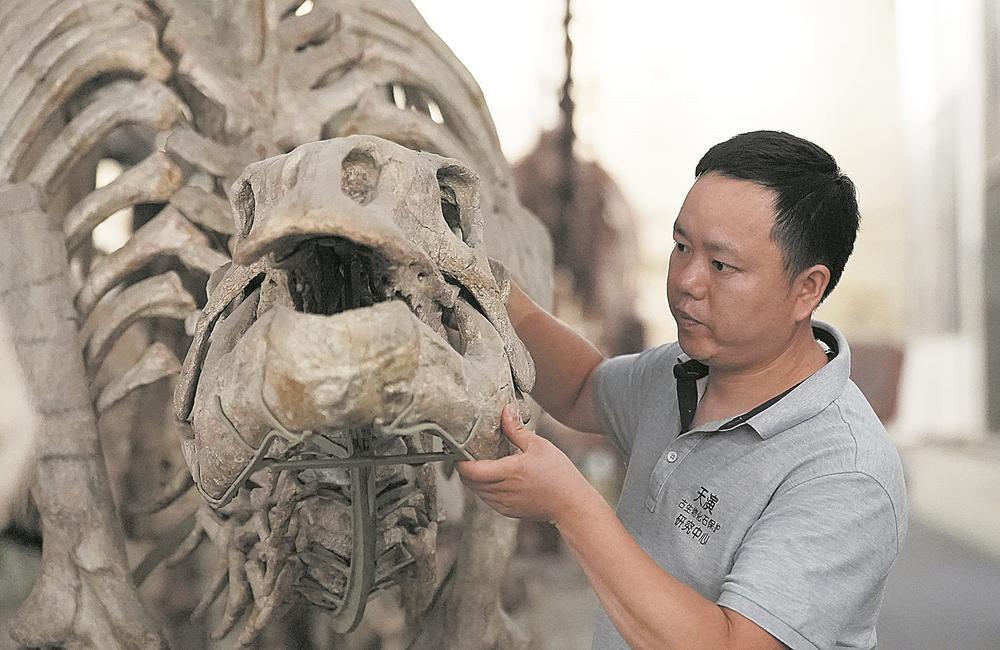 Zeng Chunjun, a fossil restorer, resurrects dinosaurs from the dust - iNEWS