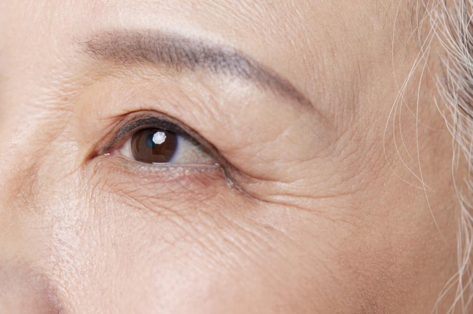 There is a significant difference in retinal age between middle-aged ...