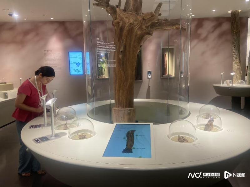 The world's largest fragrance museum officially opens. Have you ever ...