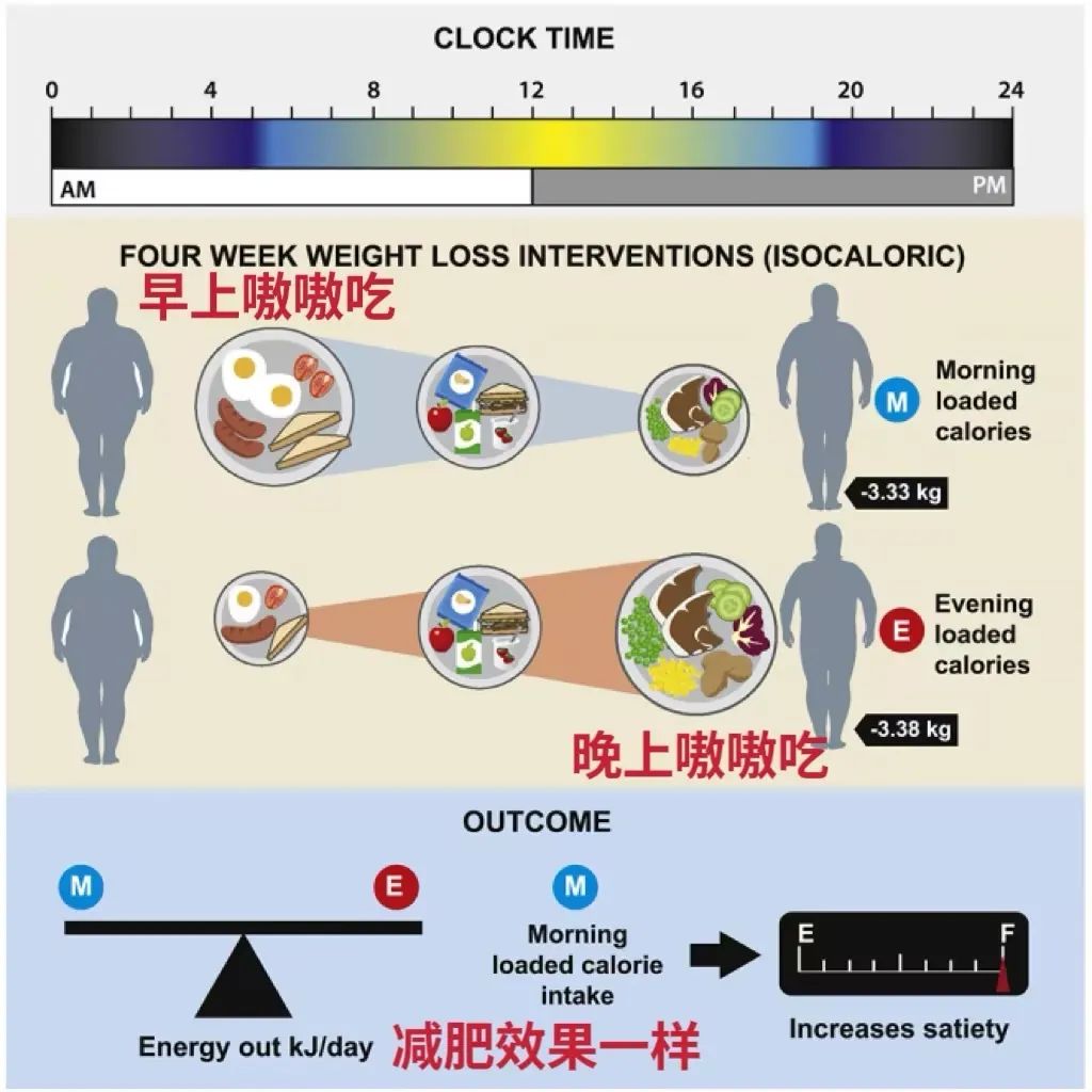 Eating midnight snacks vs going to bed hungry, which is more harmful ...