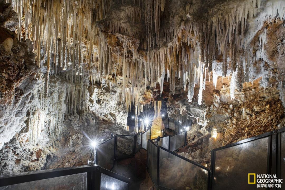 Permanent lighting in these caves is changing the ecology - iNEWS