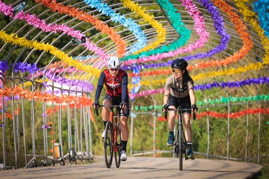 Oil disc VS cable disc, which one should I choose? - iNEWS