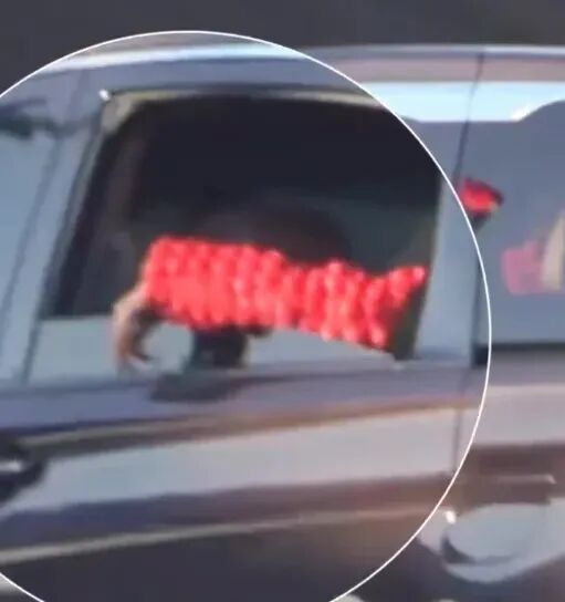 The male actor surnamed Wang apologized: He will definitely strictly ...