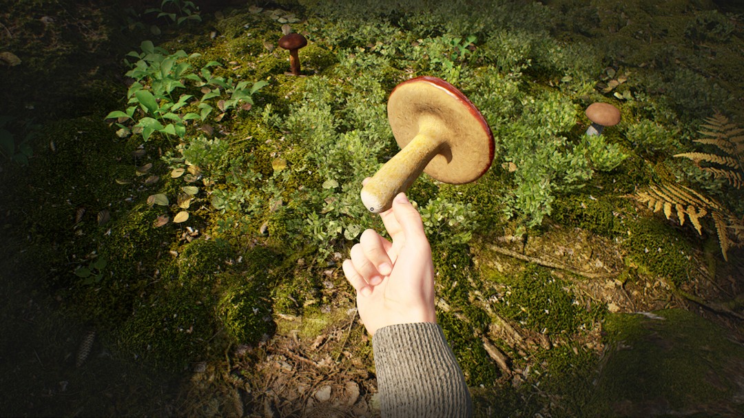 Mushroom picking simulation game "Mushroom Hunter Simulator" is ...