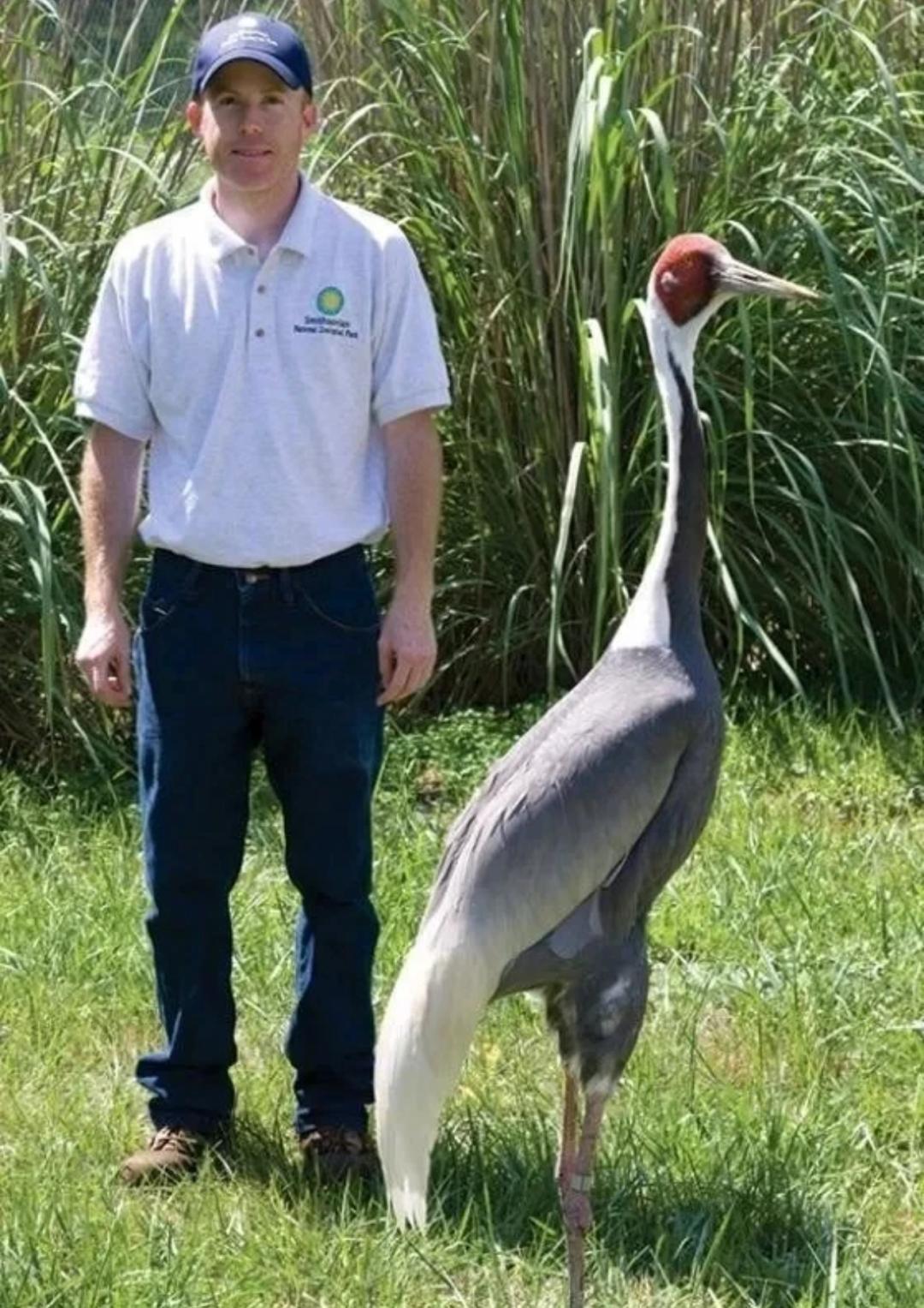 Behind these "animal love" that once frightened people are all ...