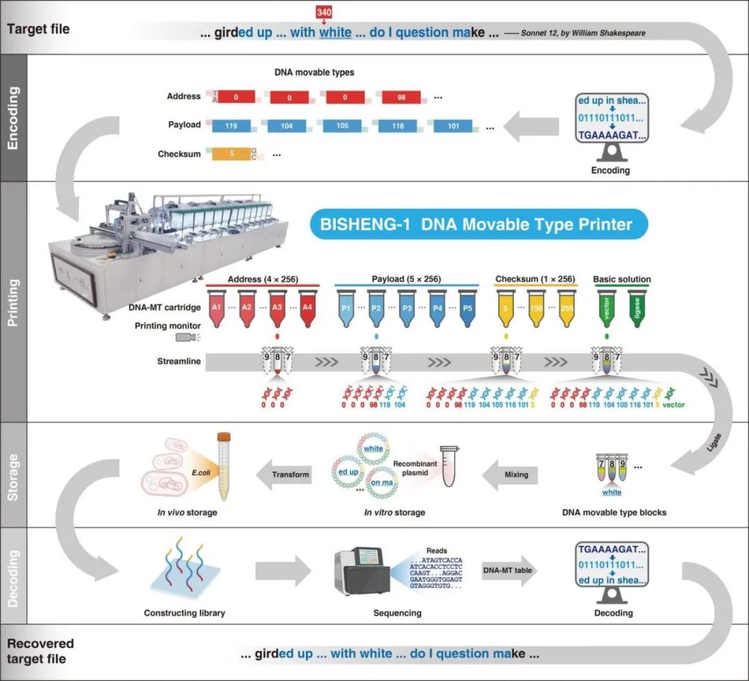 100% accuracy! DNA movable type inkjet printer "Bisheng No. 1 ...