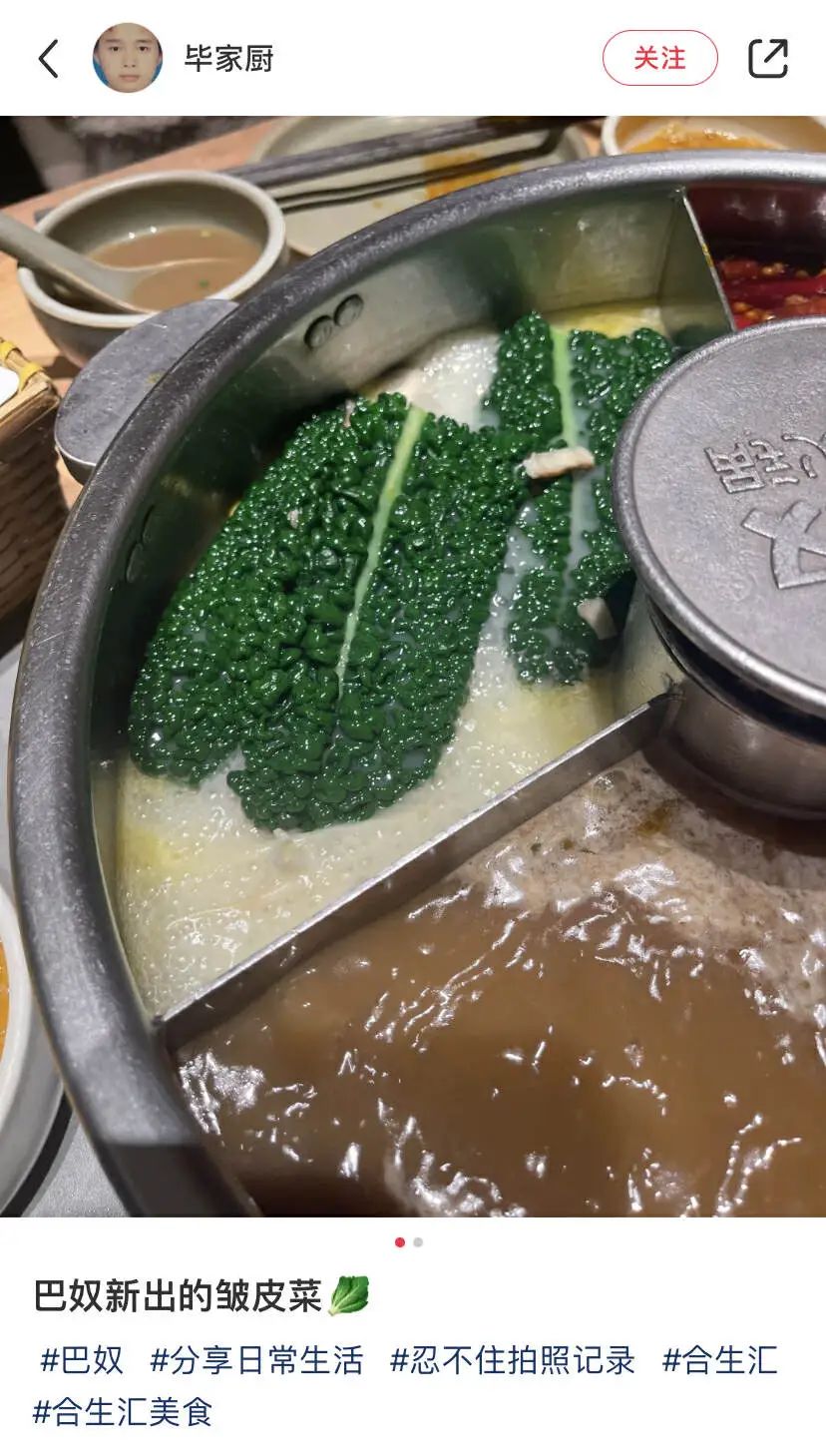 The "ugliest" leafy green vegetable has become a top-tier dish in the ...