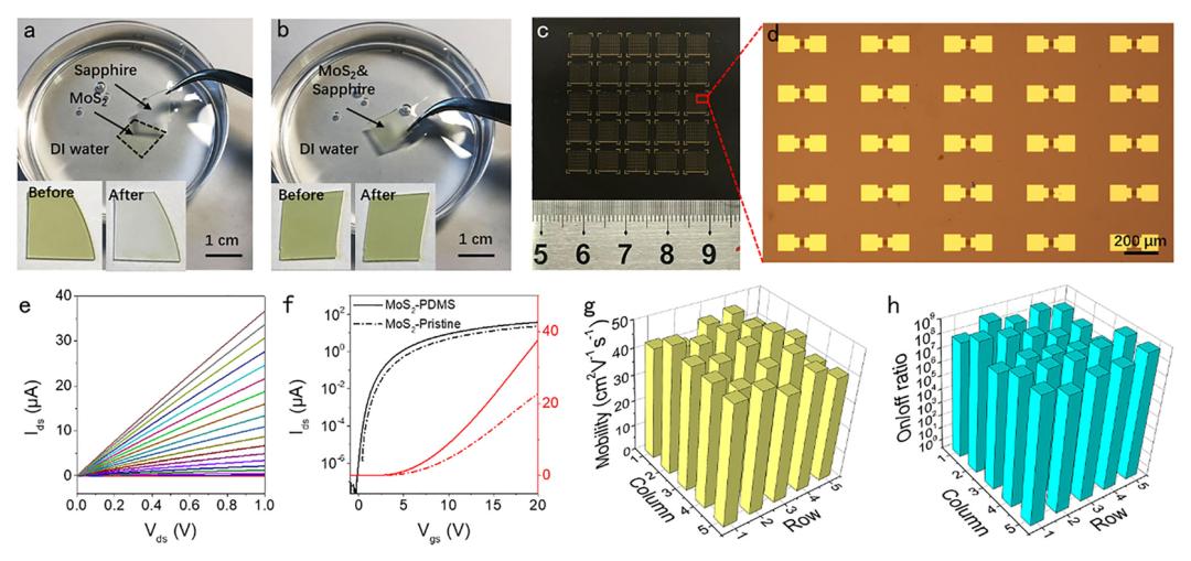 中科院物理所&大連交通大學Adv. Funct. Mater.：通過界面工程實現晶圓級單層MoS2的高效無損轉移 - 資訊咖