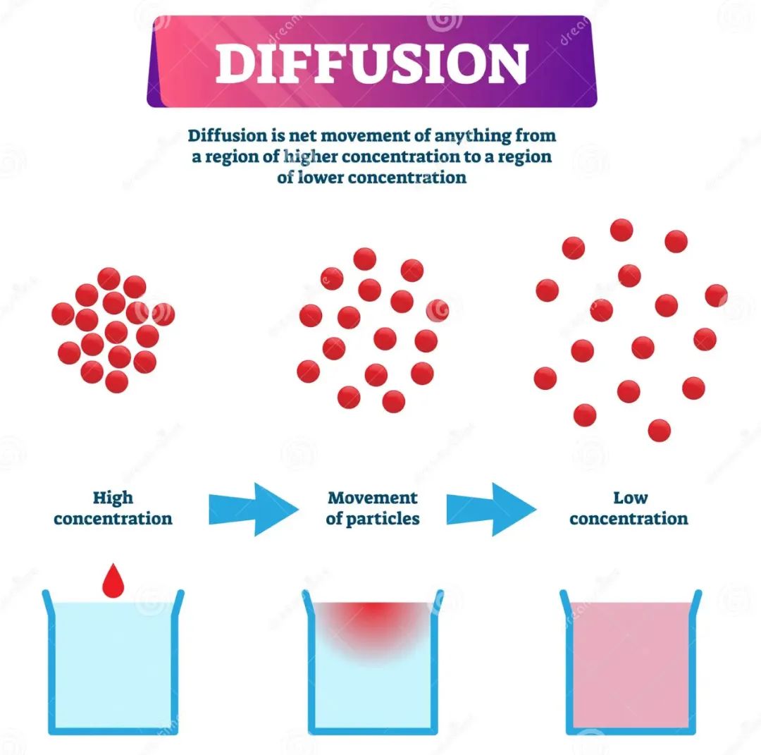 Principles of hemodialysis: diffusion, convection, and ultrafiltration ...