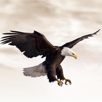 Netizen Chen Jinfeng is also a victim of cyber violence - iNEWS